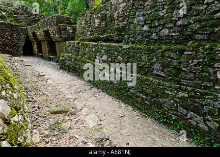 Maya site Yaxchilan, Selva Lacandona, Lakandonian Forest, Chiapas Stock ...