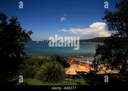 Delwood Beach near Manly Sydney Harbour Stock Photo - Alamy