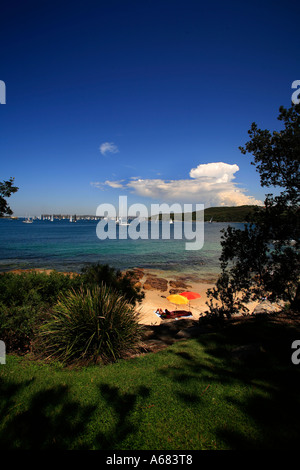Delwood Beach near Manly Sydney Harbour Stock Photo - Alamy