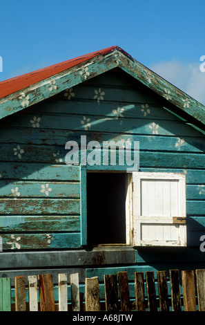 hut in san pedro, belize Stock Photo - Alamy