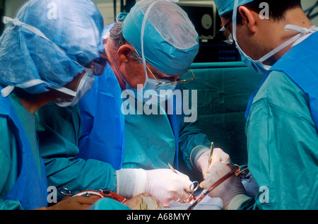 Operating surgical team performing procedure in operating room, with ...