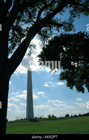 Wide View of the Silhouette of The Washington Monument and Trees ...