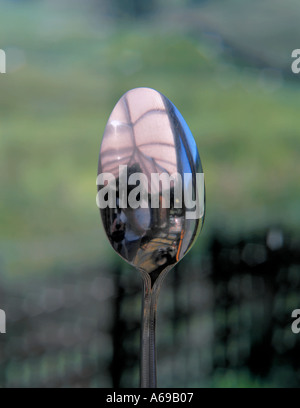 Concave Mirror Spoon