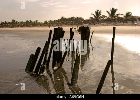 The Gambia Fajara beach wooden posts in the sand Stock Photo - Alamy