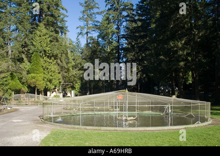 fish hatchery growing pens Stock Photo - Alamy