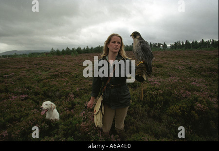 Emma Ford of British School of Falconry at Gleneagles Stock Photo - Alamy