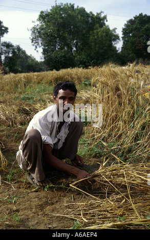 Indian man in typical squat position in a village in Rajasthan, India ...