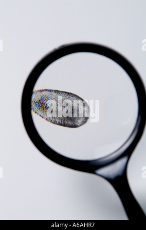 Fingerprint magnified in magnifying glass Stock Photo - Alamy