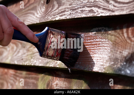 creosote, creosoting, painting, fence, shed, woodwork, paintbrush Stock ...