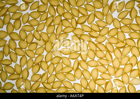 flat bed lot of pasta shells, short-cut grooved pasta Stock Photo - Alamy