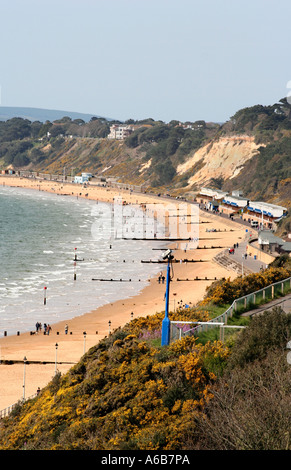 Colourful flowers and beach huts at Canford Cliffs, Poole, Dorset UK in ...