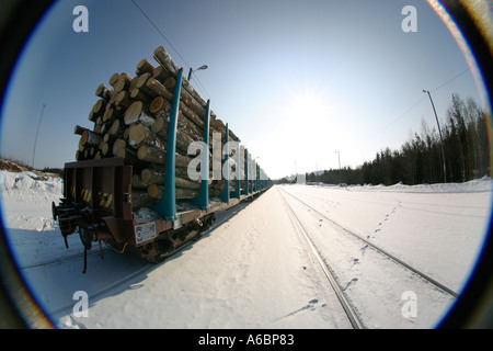 Timber in railroad box cars Stock Photo - Alamy