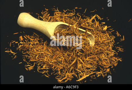 Krameria triandra Rhatany Ratanhia root medicinal plant tea Stock Photo ...