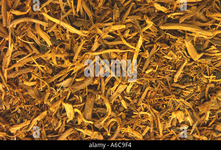 Krameria triandra Rhatany Ratanhia root medicinal plant tea Stock Photo ...