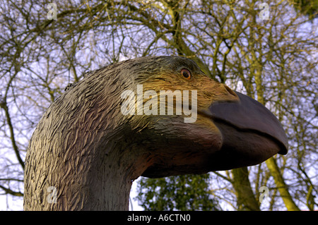 prehistoric bird creature diatryma flightless bird giant extinct ...