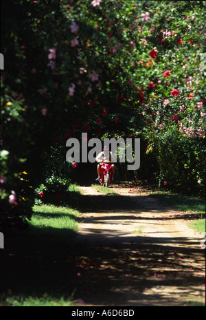 Road Aitutaki Cook Islands Stock Photo - Alamy