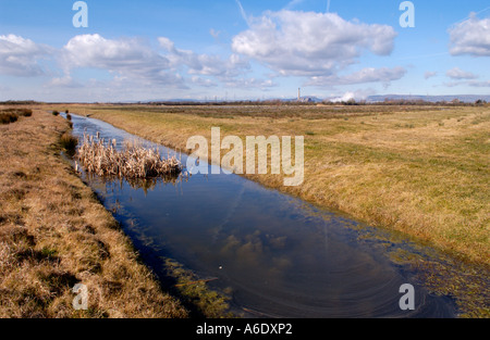 Reen drainage ditch at Newport Wetlands National Nature Reserve South ...