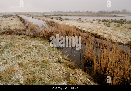 Reen drainage ditch at Newport Wetlands National Nature Reserve South ...
