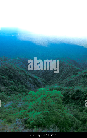 Mountain side view of Chaco woodlands at central Argentina Stock Photo ...