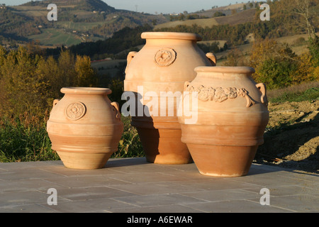 Large terracotta Ali-Baba pots and tall green houseplant beside front ...