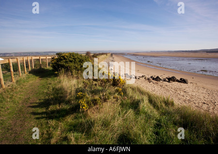 braunton burrows biosphere devon image Stock Photo - Alamy