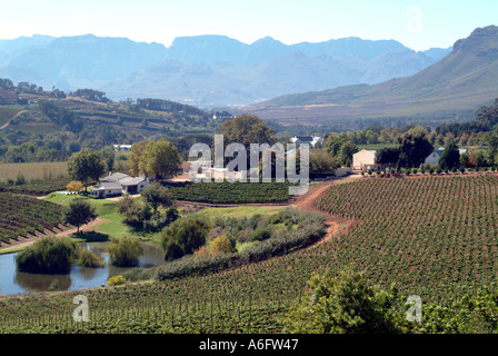 Alluvia Wine Estate Banhoek Valley Nr Stellenbosch Western Cape South ...