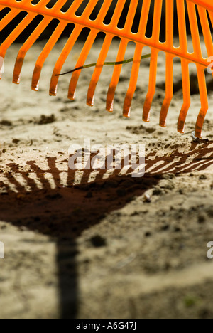 Beach Broom, Cabarete, Dominican Republic, 1/07 Stock Photo - Alamy