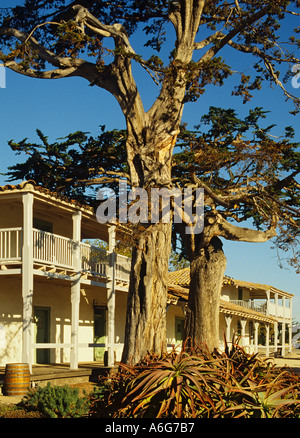 The historic CUSTOMS HOUSE - MONTEREY, CALIFORNIA Stock Photo - Alamy