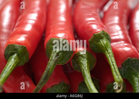 Red Hot Chillies Peppers Stock Photo - Alamy