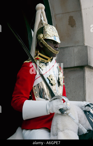 Lifeguard of the Household Cavalry, British Guard Cavalry, London Stock ...