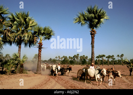 Myanmar Bagan Water Collection Stock Photo - Alamy