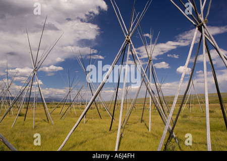 Nez Perce Indian camp site tipi poles at Big Hole National Battlefield ...