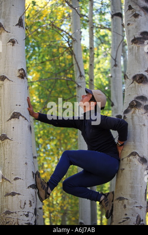 Man Climbing Wedged Between Two Trees Stock Photo - Alamy