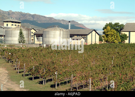 KWV Winery Wine Cellar Paarl Western Cape South Africa indoors indoor ...