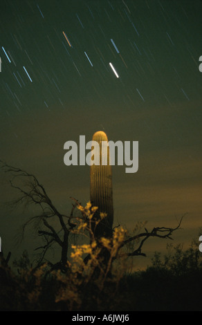 Night sky, starry night, Tucson, Arizona Stock Photo - Alamy