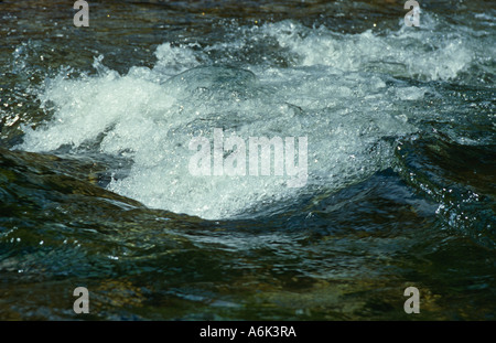 section of a river with a swift current Stock Photo - Alamy