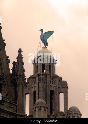 The Liver Bird on top of the Liver Building in Liverpool in the UK ...