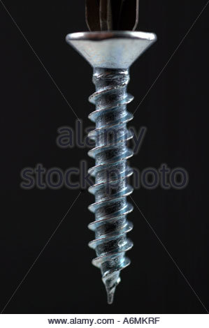 Closeup of a black spiral threaded screws for sheetrock or drywall with ...