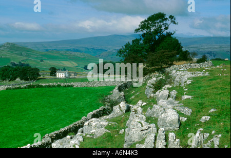 Upper Winskill Farm and limestone scenery, Ribblesdale, Yorkshire Dales ...