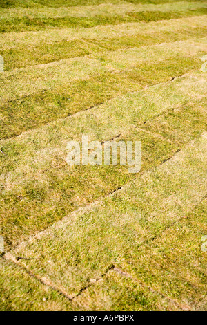 Freshly laid turf Stock Photo - Alamy