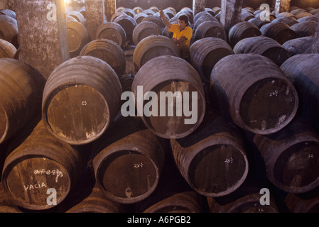 winemaker taking sample from maturing vats in a winery in Spain Stock ...