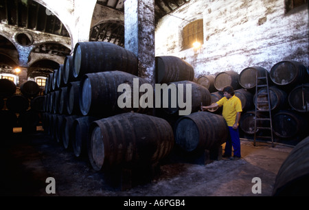 winemaker taking sample from maturing vats in a winery in Spain Stock ...
