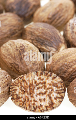 single whole nutmeg fruit close up on gray ceramic plate Stock Photo ...