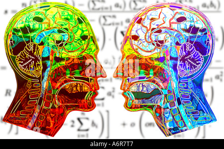 abstract color coded x-ray of human skull Stock Photo - Alamy