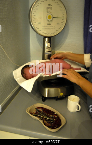 The placenta at the delivery room Stock Photo - Alamy