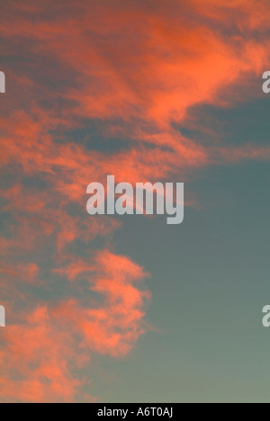 orange red sunset in winter in woods with calm water in river Stock ...