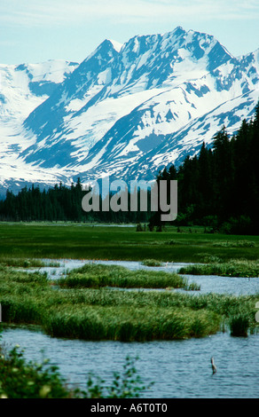 Lake with mountains on the Kenai Peninsula in Alaska Stock Photo - Alamy