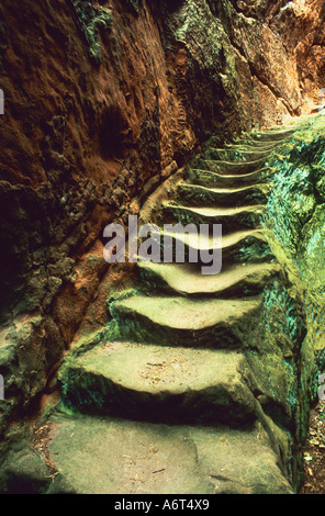 Humphrey Kynaston's Cave, Nesscliffe Country Park, Shropshire, England ...