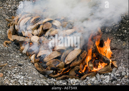 a traditional pit fire at a funeral feast on Funafuti, tuvalu Stock ...