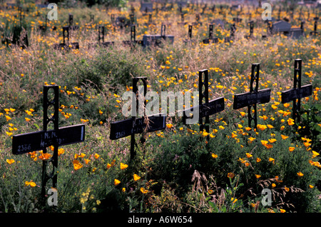 Jari Project Amazon Brazil Stock Photo - Alamy